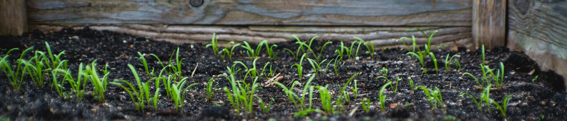 GEME Composter get started | GEME